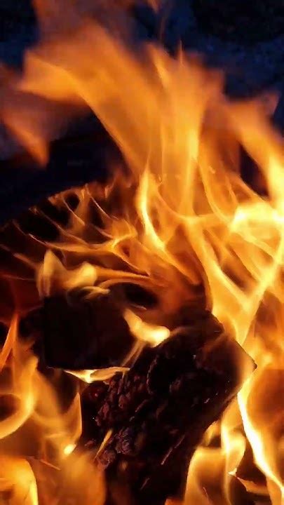 세밑 새날 충주 목계솔밭에 한가로이 다녀오다 캠핑카 렉스로버 차박 캠핑 모터홈 5성급캠핑장 캠핑성지 Youtube