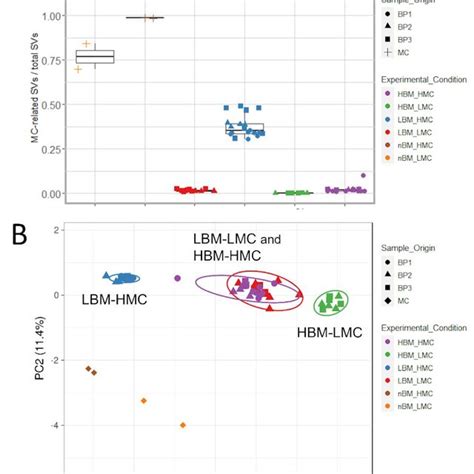 Clustering Of Samples Based On The Relative Abundance Of Mc Svs B Pca Download Scientific