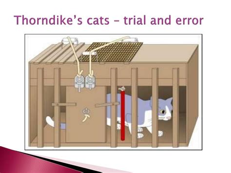 Ppt Trial And Error Learning Powerpoint Presentation Free Download Id2796035