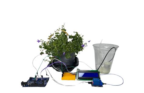 Интернет магазин Enjoy Robotics