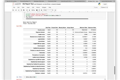 Setting Up Data Quality Reports With Pandas In No Time Patrick Schwan