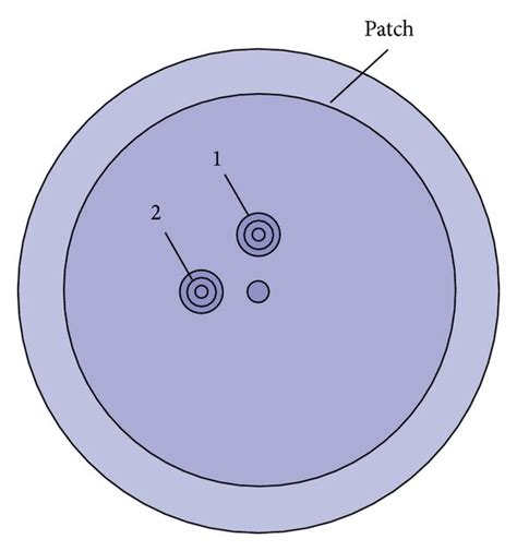 diagram of the circular polarization antenna array which contains two