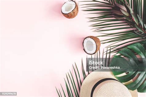 여름 구성입니다 열 대 야 자 나뭇잎 모자 파스텔 핑크 배경에 코코넛 여름 개념입니다 평면 위치 최고 보기 복사 공간 모자 모자류에 대한 스톡 사진 및 기타 이미지 Istock
