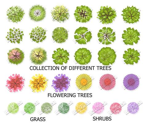 Landscape Tree Plan View Png Landscape Element Treetop Templates Custom Tree Top View Tree