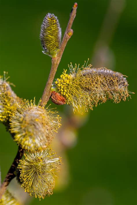 Novo Toyota Yaris Em Lan Amento Oficial Fotos E Detalhes Latest Toyota News