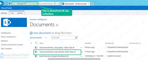 Sharepoint Pivot Chart Ponasa