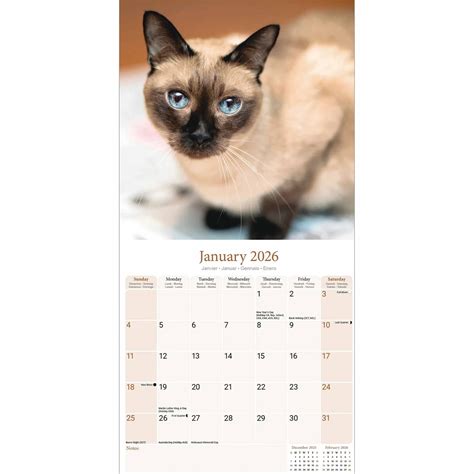 Siamese Cats Calendar 2026
