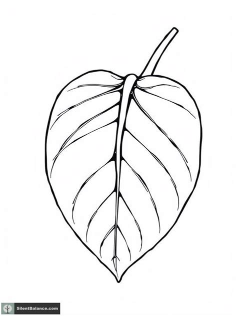 How To Identify Persimmon Tree Trees [coloring Sheets Included] Silent Balance
