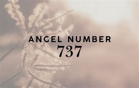 737 Angel Number Uncover The Spiritual Message Behind 737 Life Spiritually