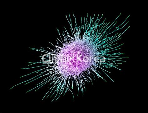 해외작가포토 클립아트코리아 통로이미지주