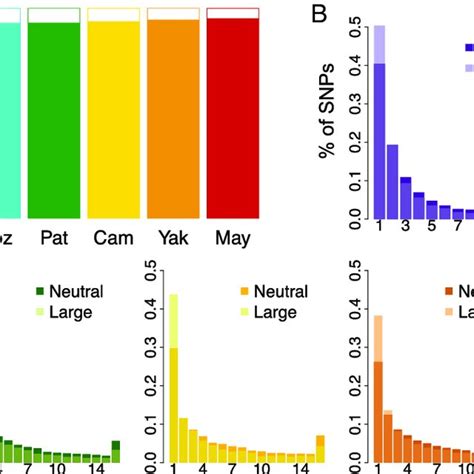 Differences In The Proportion Of Deleterious Alleles By Frequency