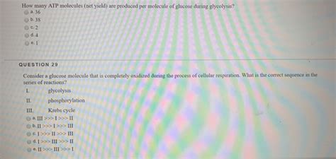 Solved How Many ATP Molecules Net Yield Are Produced Per Chegg Com