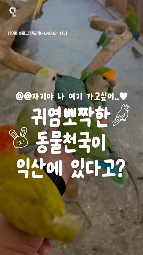 전주에서 뭐 하지 전주맛집 전주카페 전주여행 전주가볼만한곳 🍰마마무 화사님도 다녀간 전주 티라미수 맛집 🍰 이 집 티라미수 맛있는 거 나도 알고 우리집 멍뭉이도