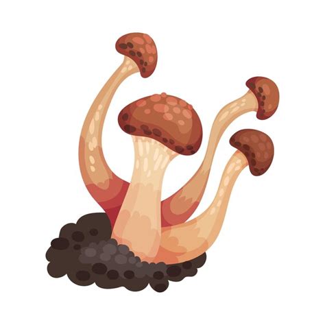 Premium Vector Mushroom With Cap And Stem As Forest Element Vector Illustration