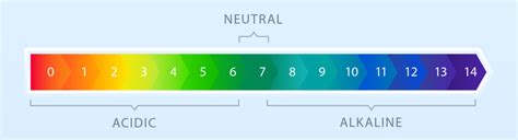 Complete Guide About Hydroponic Nutrient Solution Ratios