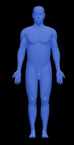 Chapter Body Position Lab Flashcards Quizlet