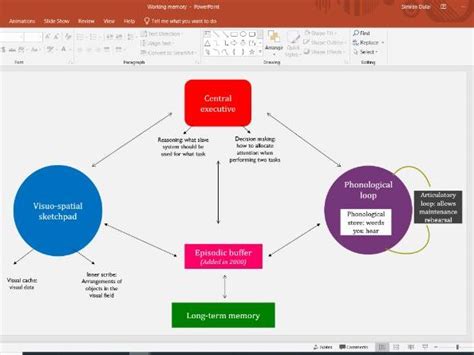 Aqa As Psychology Memory Working Memory Model Teaching Resources