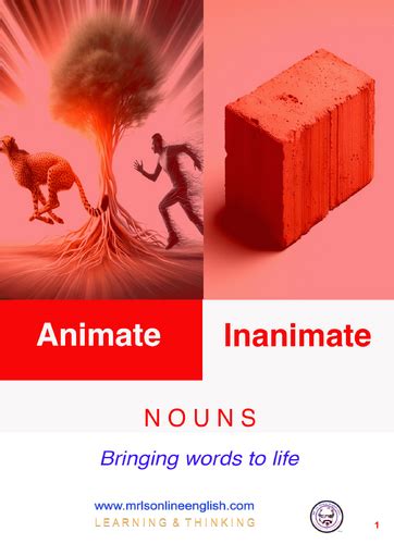 Animateinanimate Nouns Booklet Teaching Resources