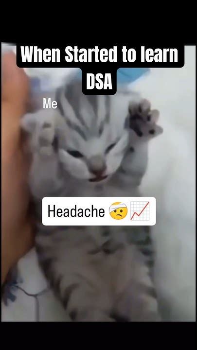 Coding Programming Dsa Databaseconcepts Viralshorts Programming