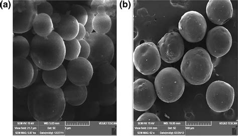 Formulation And Optimisation Of Lamivudine‐loaded Eudragit® S 100 Polymer‐coated Pectin