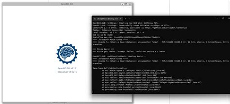 Gui Will Not Load Past Startup · Issue 1109 · Openbciopenbcigui · Github