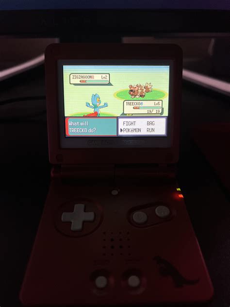 [gen3] Shiny Treecko In Emerald Took Just Under A Month And Reset My File Every 50 100 Resets
