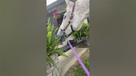 Catanio Says Hi🤗 Youtube