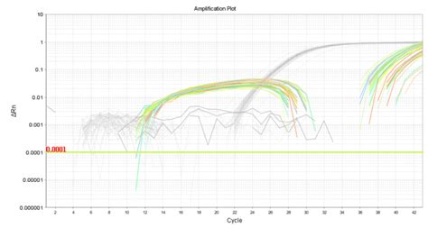 What Does This Pattern Of Qpcr Amplification Plot Means