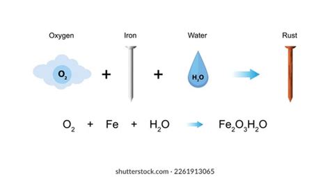 Scientific Designing Rusting Process Effect Oxygen 库存矢量图免版税2262114199 Shutterstock
