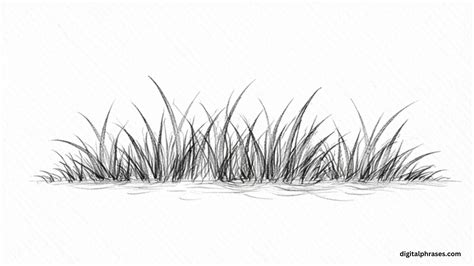 How To Draw Grass
