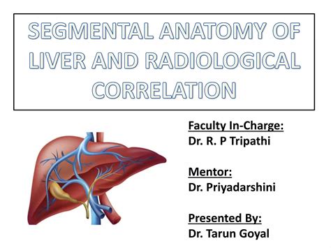 Radiological Anatomy Of Liver Segments Pptx