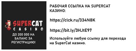 Суперкэт казино Топовое казино Получи бездепозитный бонус за регистрацию в казино Supercat
