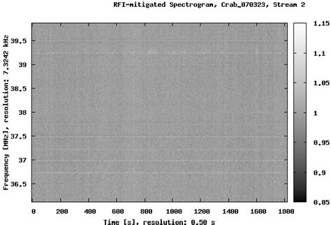 Figure E 13 Dataset Crab 070323 Spectrogram After Rfi Mitigation Download Scientific
