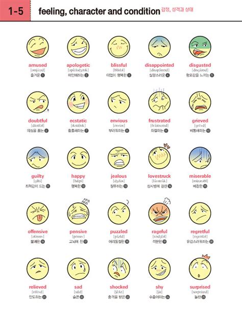 알라딘 미리보기 영어단어 그림사전