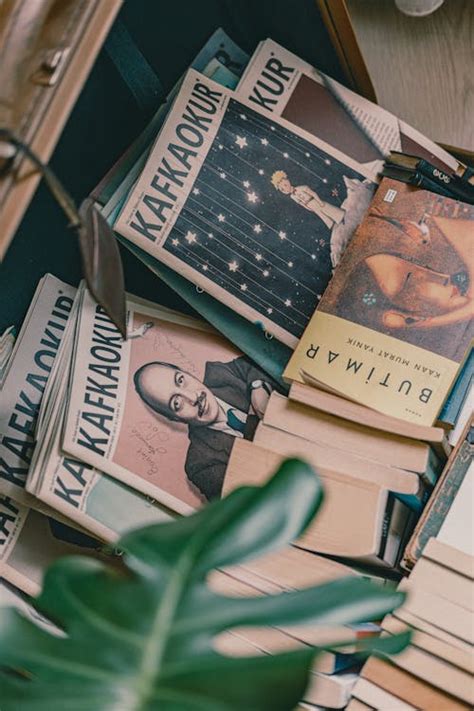 나뭇잎 문학 서적 수직 쐈어 위에서 내려다 본 터키의 확대에 관한 무료 스톡 사진