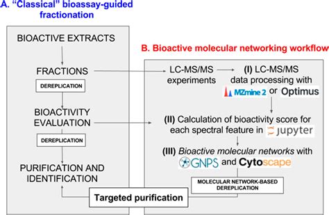 Bioactivity Based Molecular Networking For The Discovery Of Drug Leads In Natural Product