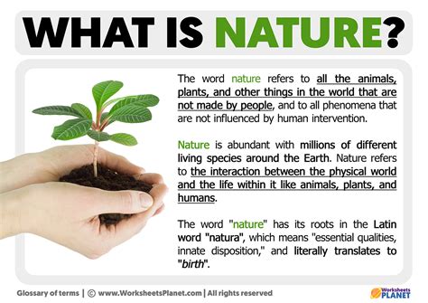 What Is Nature Definition Of Nature