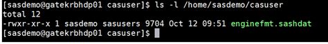 Working With User Defined Formats With Sas Cloud Analytic Services