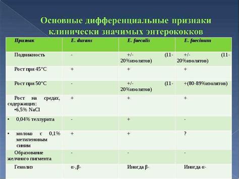 The Role Of Biochemical Tests In Identifying Enterococcus Faecalis