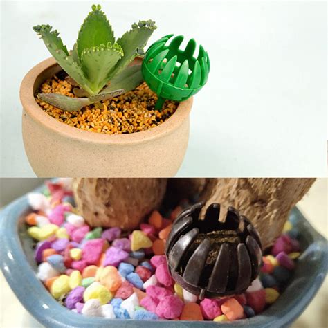 Fertilizer Box Plastic Automatic Fertilization Nur Grandado