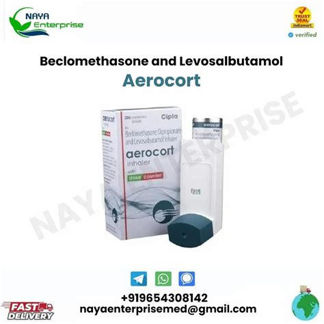 Beclomethasone And Levosalbutamol Inhaler At ₹ 200piece Rohini New