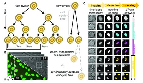 Overview Of The Experimental Data Acquisition And Computational
