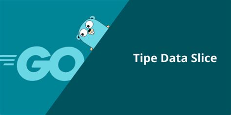 14 Tipe Data Slice Belajar Golang Dari Dasar Ruang Developer