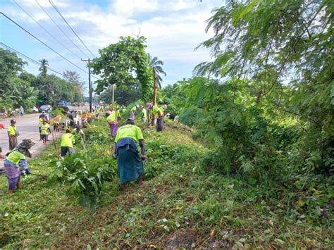 မြောက်ဥက္ကလာပမြို့နယ် သန့်ရှင်းသာယာလှပစေရေး အတွက် သစ်ပင်၊ သစ်ကိုင်းများ