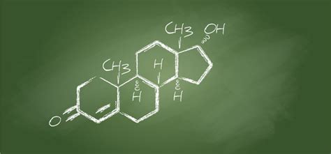 Testosterone Hormone Formula Vector Images Over 200