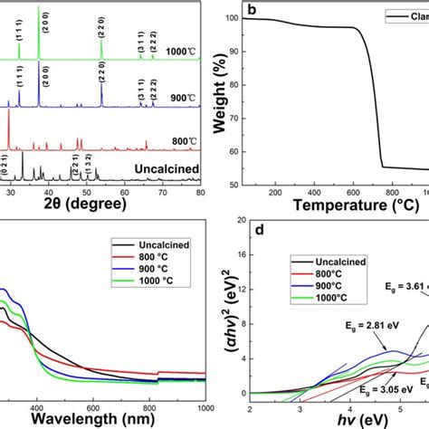 SEM Images Of Clam Shell Samples A B Uncalcined C D Treated At Download Scientific