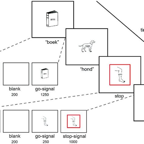 Depiction Of A Trial Course In The Picture Word Interference