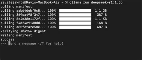How To Run Deepseek R1 Locally Step By Step Process Techwiser