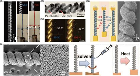 Typical Super Coiled Yarn Actuators Based On Various Polymers A A