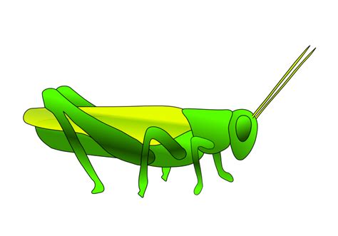 Grasshopper Openclipart